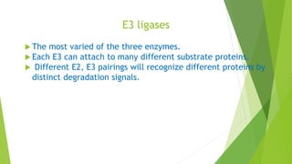 Signalling through ubiquitin ligase | PPTX