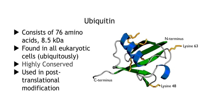 Signalling through ubiquitin ligase | PPTX