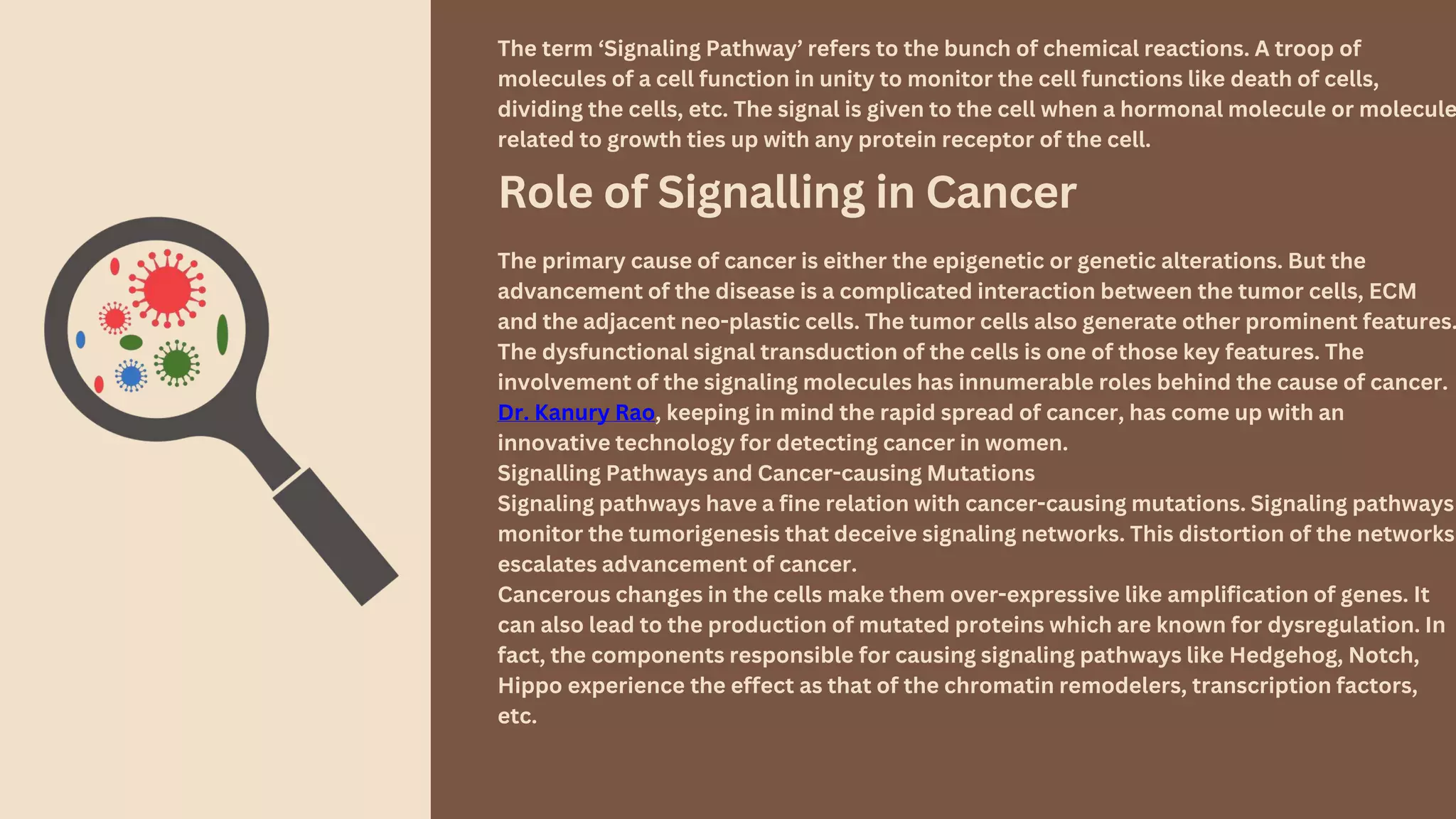 Signal Pathways in Immune Cell Development.pptx