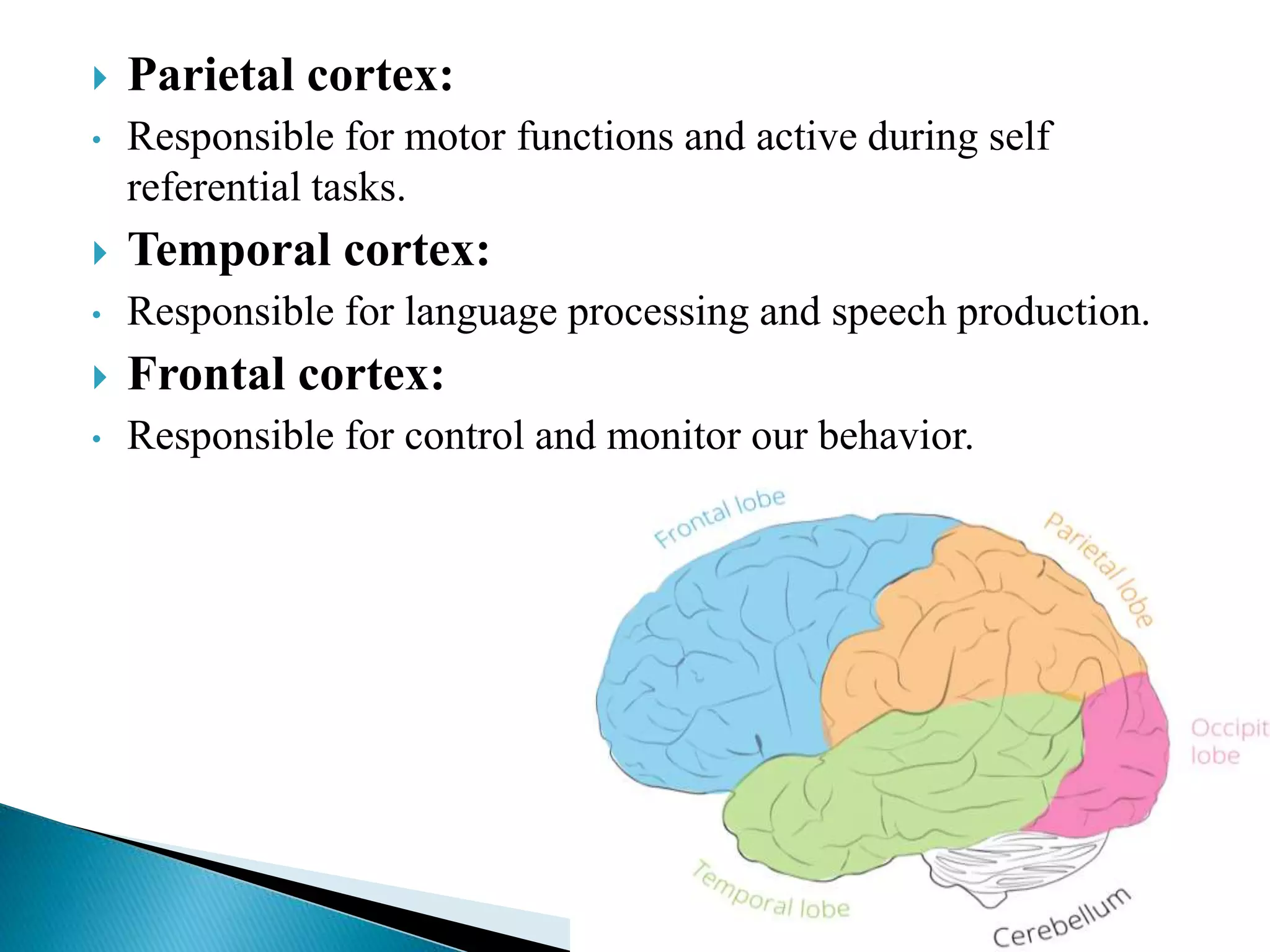 Eeg Signal Processing Pptx