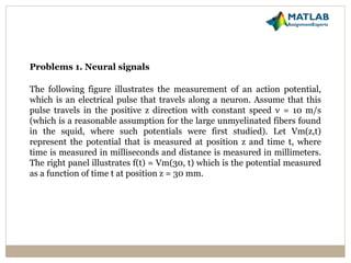 Solution to MATLAB Assignment on Signals and Systems | PPTX