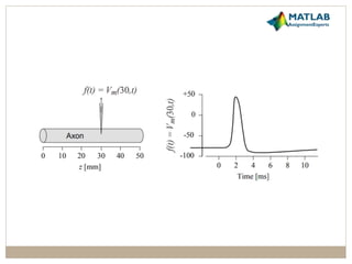 Solution to MATLAB Assignment on Signals and Systems | PPTX