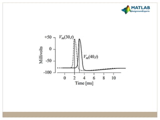 Solution to MATLAB Assignment on Signals and Systems | PPTX