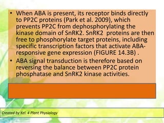 Signal Tansduction Kel 4 | PPT