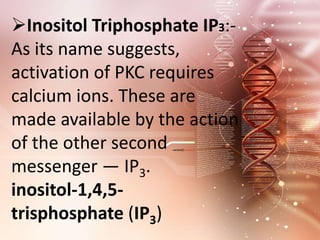 Signal tranduction | PPTX