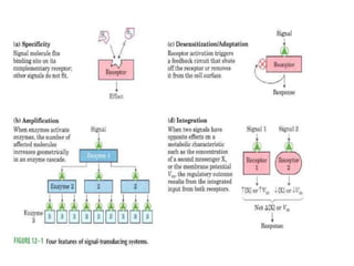 Signal transduction | PPTX