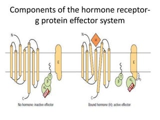 Signal transduction | PPTX
