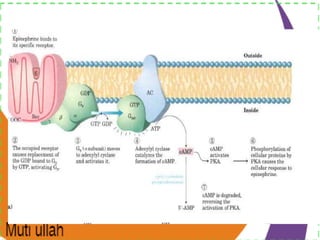 Signal transduction | PPTX