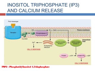Signal Transduction and Second Messengers | PPT