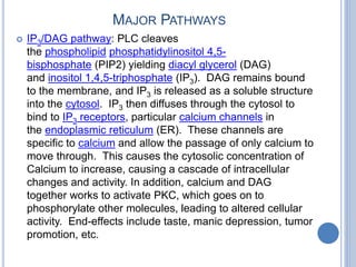 Signal transduction | PPTX
