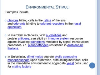 Signal transduction | PPTX