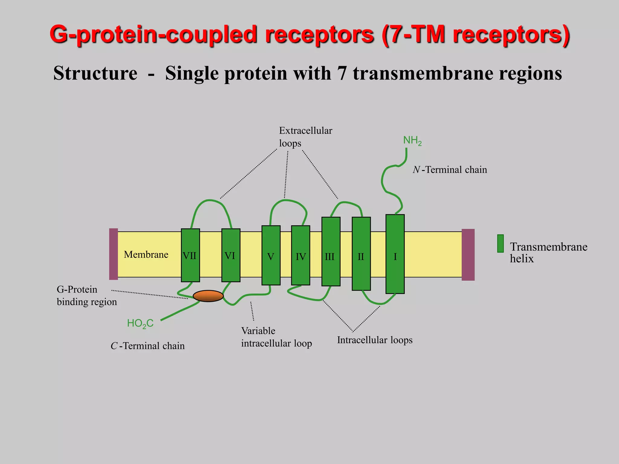 receptor as drug target (receptor structure and signal transduction) | PPT