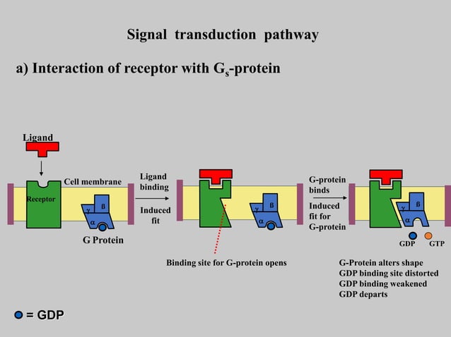 receptor as drug target (receptor structure and signal transduction ...