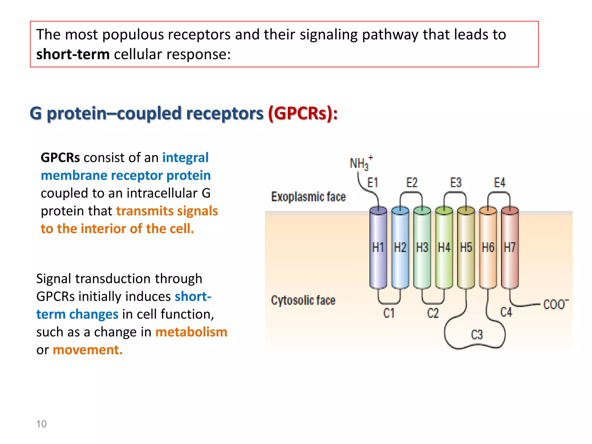 Signal transduction | PDF
