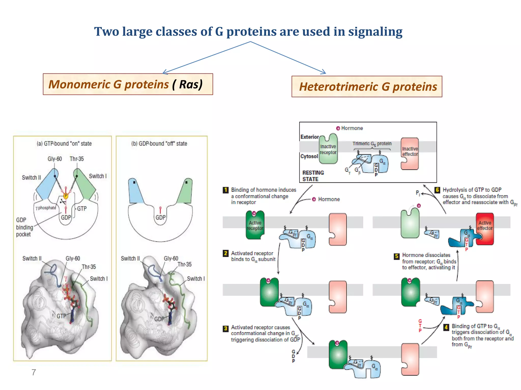 Signal transduction | PDF