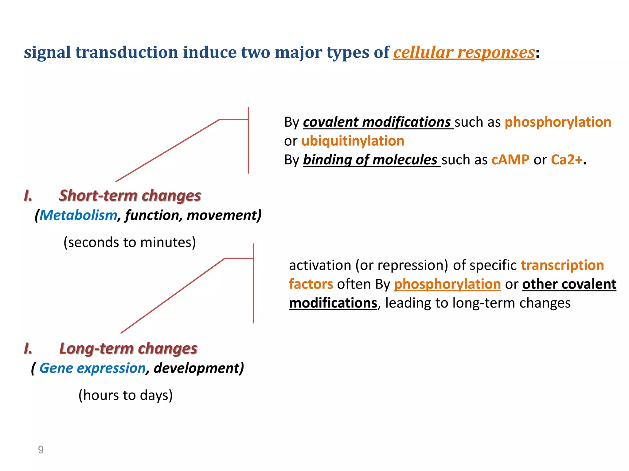 Signal transduction | PDF