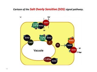 Signal transduction | PDF