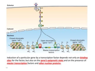 Signal transduction | PDF