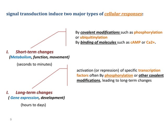 Signal transduction | PPT