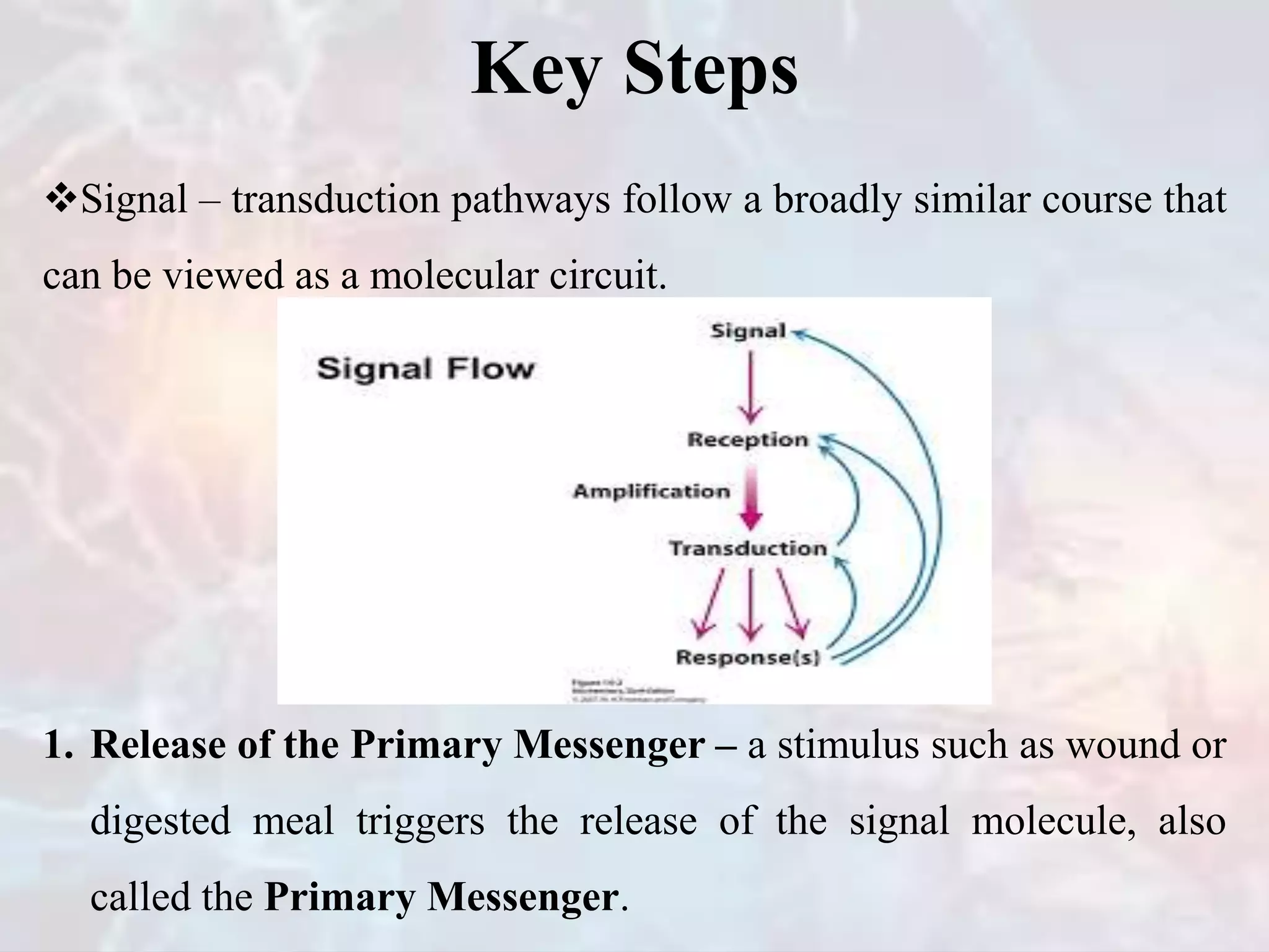 SIGNAL TRANSDUCTION.pptx