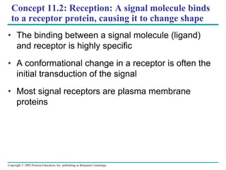 Signal transduction .................... | PPT