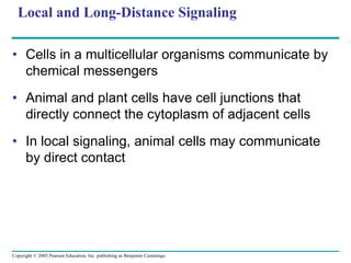 Signal transduction .................... | PPT