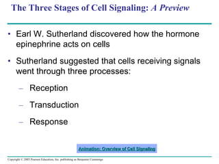 Signal transduction .................... | PPT