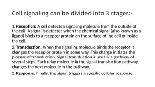 Signal transduction.pptxjvhgxfzghcjkvkbk,vhnb | PPTX