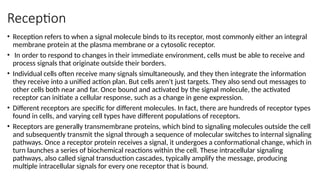 Signal transduction.pptxjvhgxfzghcjkvkbk,vhnb | PPT