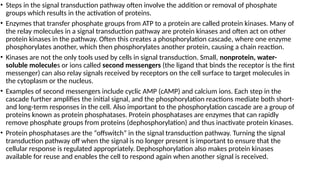 Signal transduction.pptxjvhgxfzghcjkvkbk,vhnb | PPT