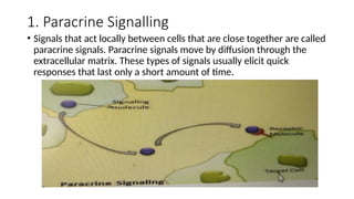 Signal transduction.pptxjvhgxfzghcjkvkbk,vhnb | PPTX