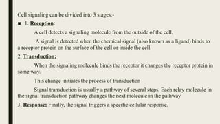 SIGNAL TRANSDUCTION MECHANISMS – G PROTEIN- COULPED RECEPTORS | PPTX