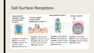 SIGNAL TRANSDUCTION MECHANISMS – G PROTEIN- COULPED RECEPTORS | PPTX