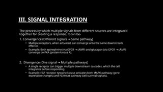 signal transduction pathway- biochemistry | PPTX