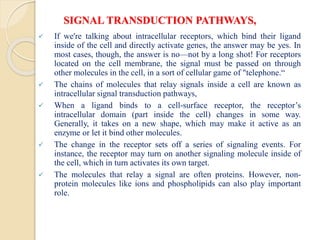 Cellular Communication: Signal Transduction Pathway | PDF