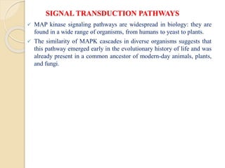 Cellular Communication: Signal Transduction Pathway | PDF