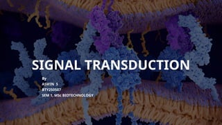 SIGNAL TRANSDUCTION PATHWAYS IN HUMAN BODY | PPTX