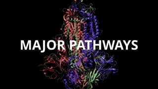 SIGNAL TRANSDUCTION PATHWAYS IN HUMAN BODY | PPTX