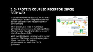 SIGNAL TRANSDUCTION PATHWAYS IN HUMAN BODY | PPTX
