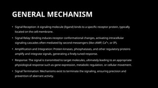 SIGNAL TRANSDUCTION PATHWAYS IN HUMAN BODY | PPTX
