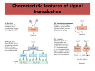 Signal transduction sm | PPTX