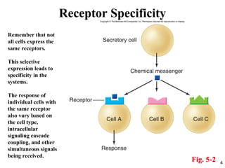 SIGNAL TRANSDUCTION pathway b iology.ppt