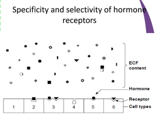 Signal transduction and hormone receptor complex | PPT