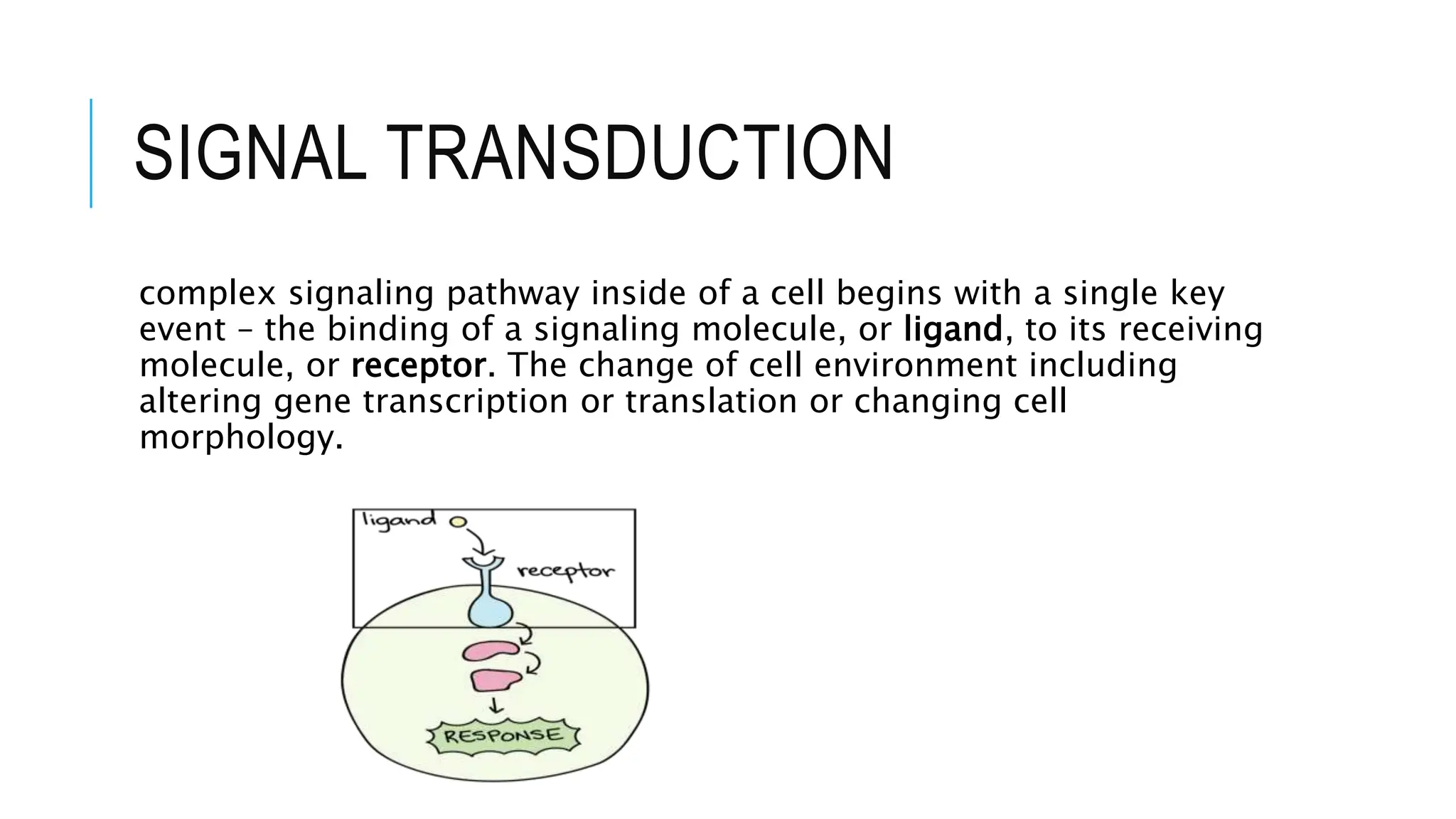 Signal transduction by Professor Dr Ghazala Irshad .pptx