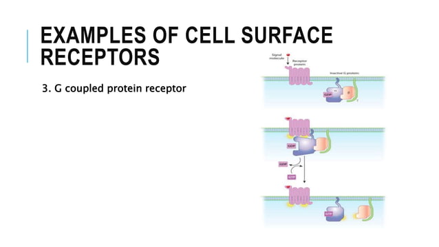Signal transduction by Professor Dr Ghazala Irshad .pptx