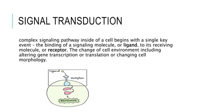 Signal transduction by Professor Dr Ghazala Irshad .pptx