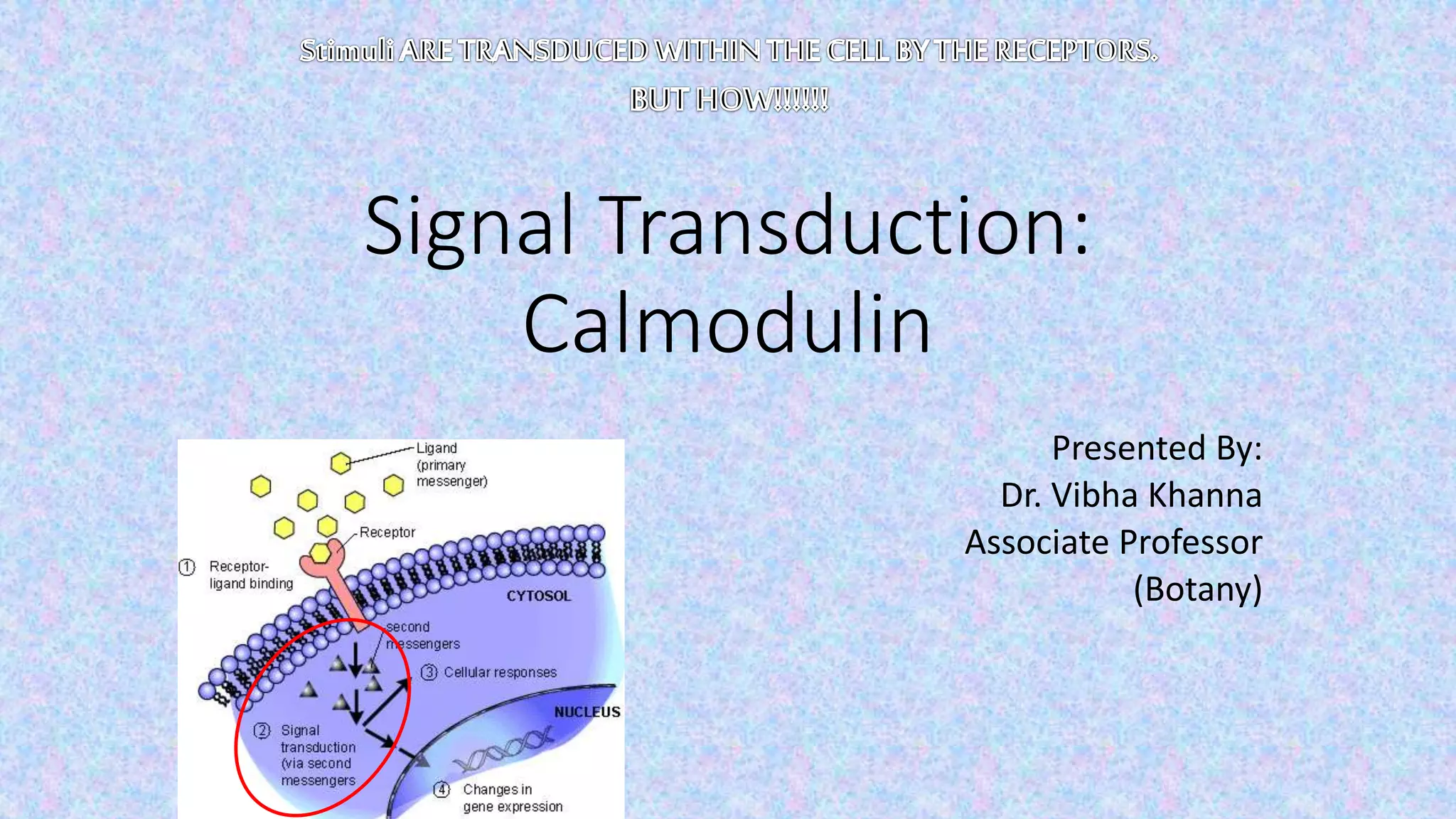 Calmodulin | PPTX