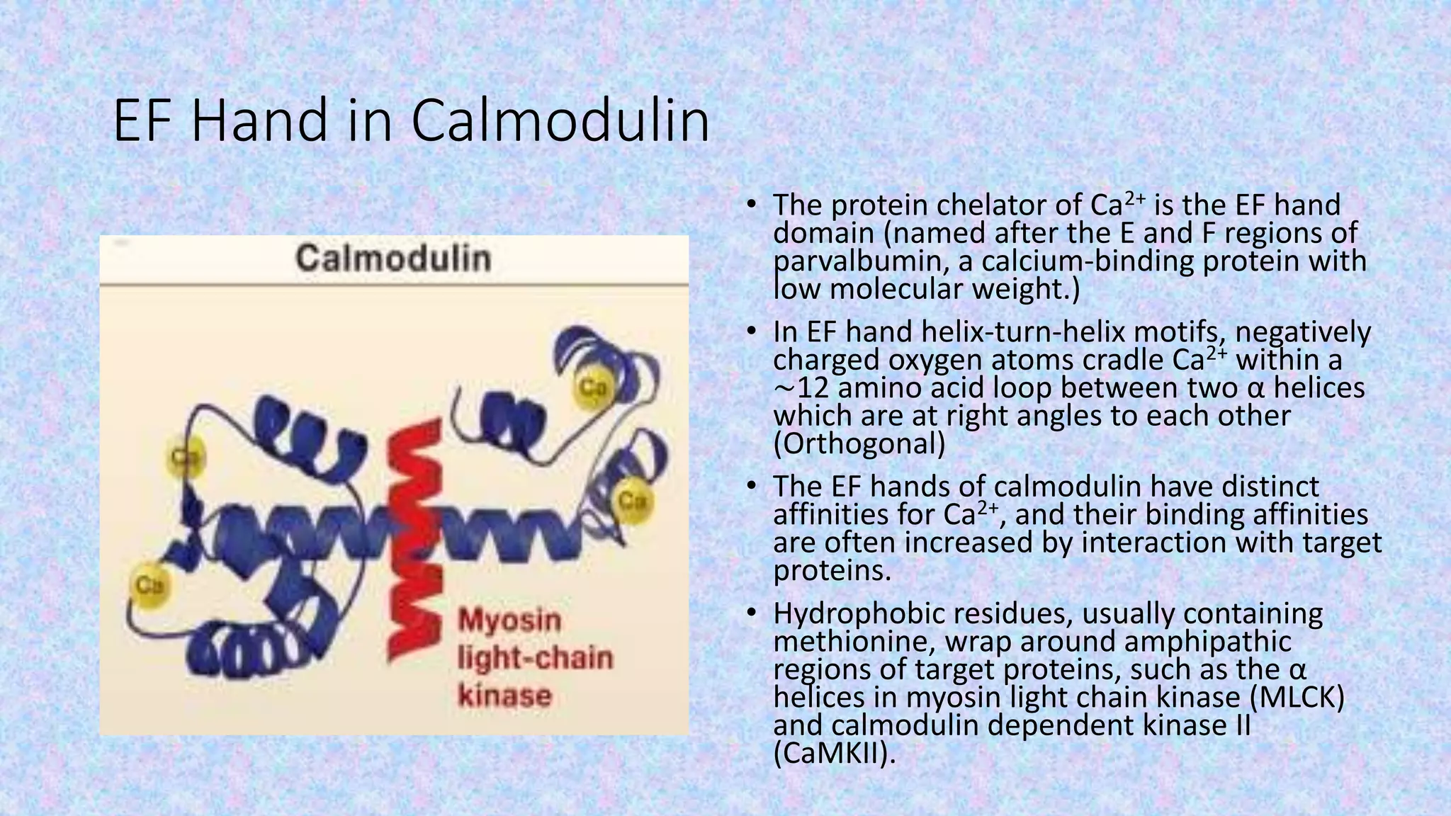 Calmodulin | PPTX