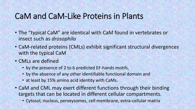 Calmodulin | PPTX