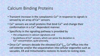 Calmodulin | PPTX